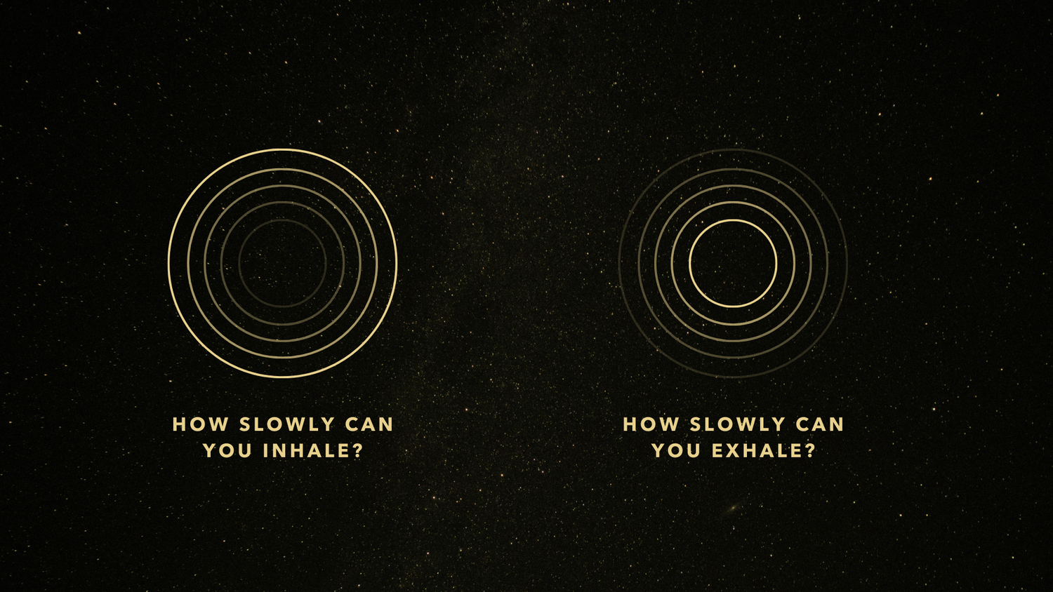 A New Perspective on Breathwork 💭 – Void Space Technologies