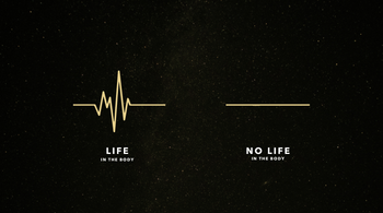 What is Bioelectricity? ⚡ – Void Space Technologies