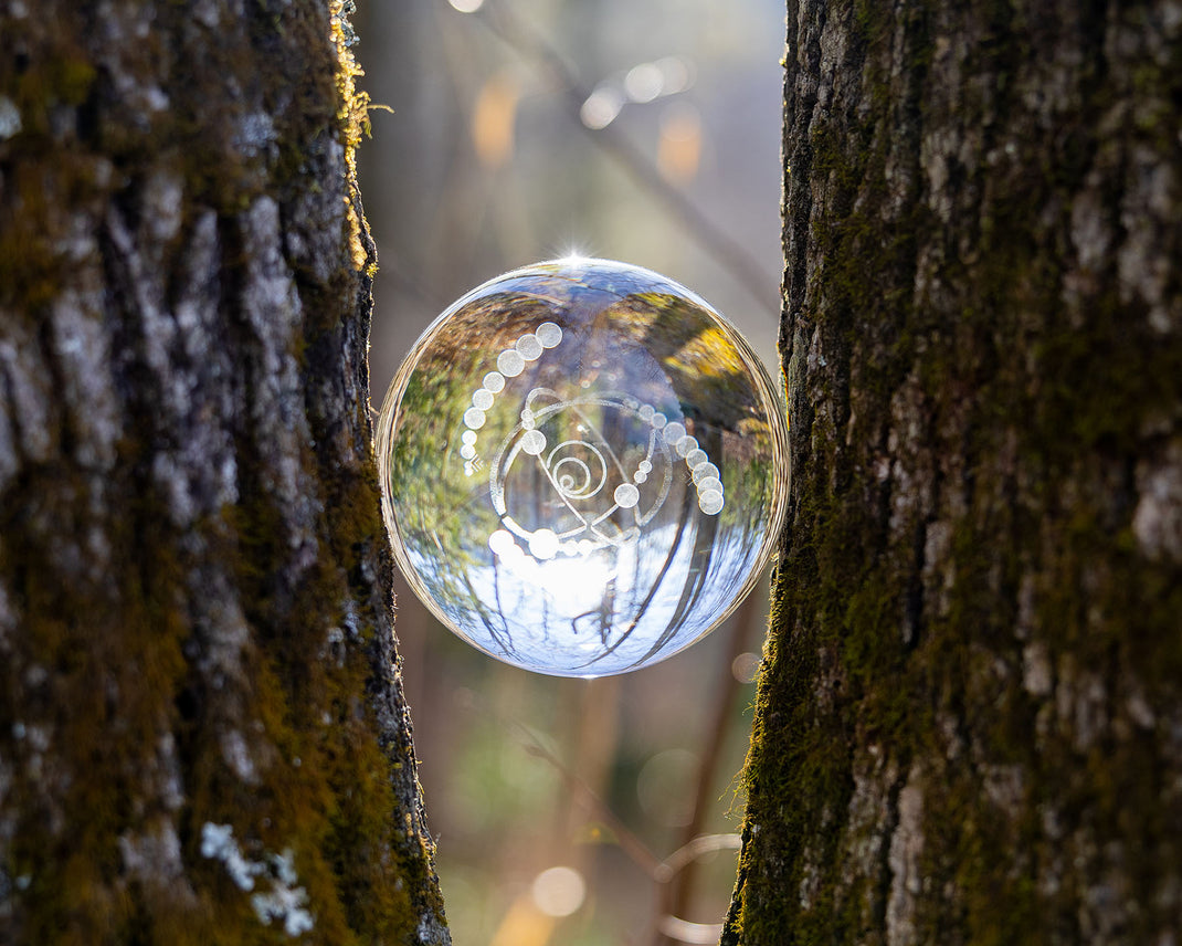 Wellness Technology – Void Space Technologies